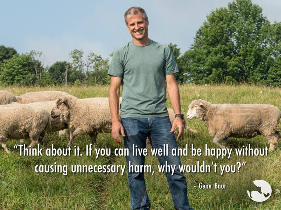 Farm Sanctuary’s Gene Baur to Appear on The Daily Show | harm.less